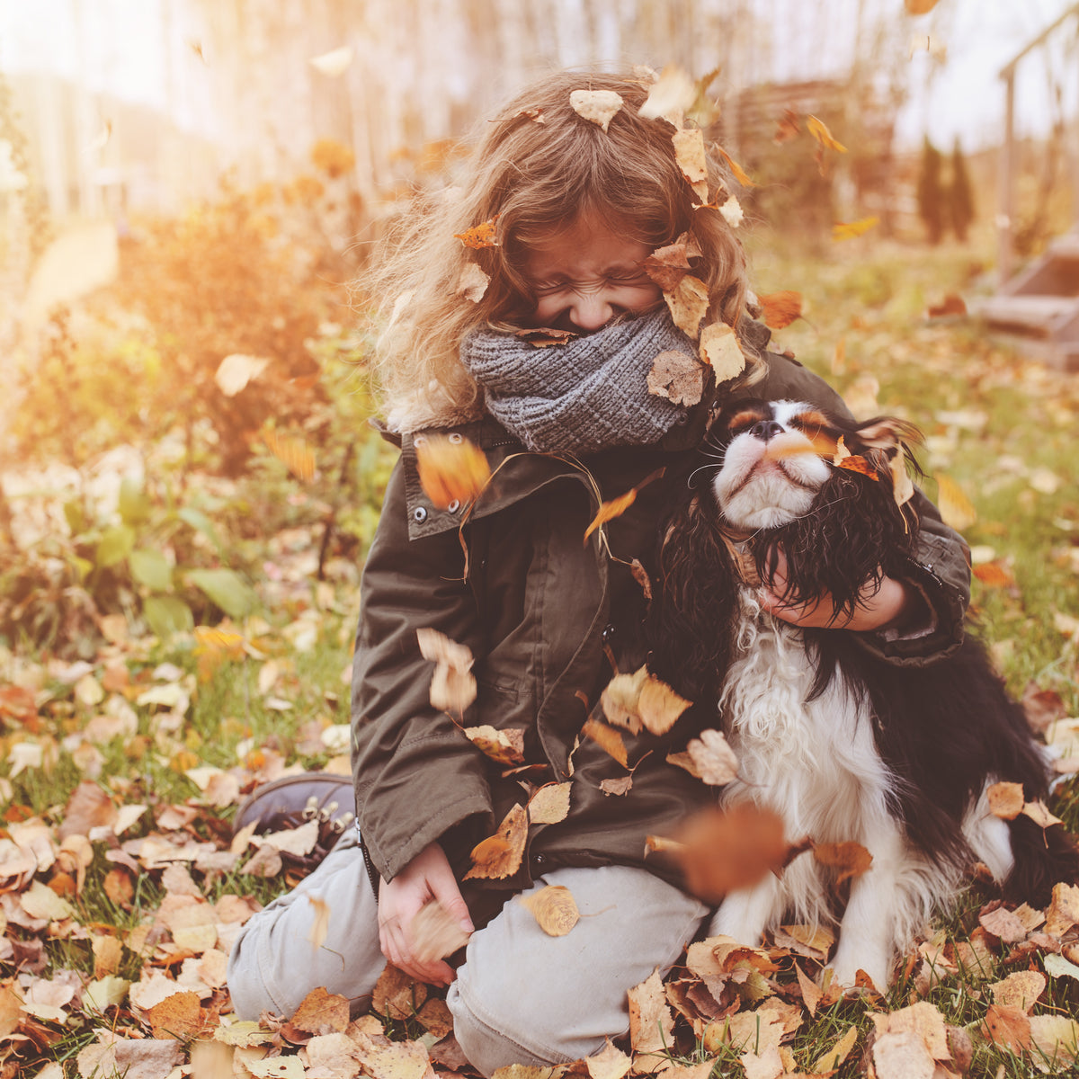 6 Activities to Do with Your Dog This Fall – Clearly Loved Pets