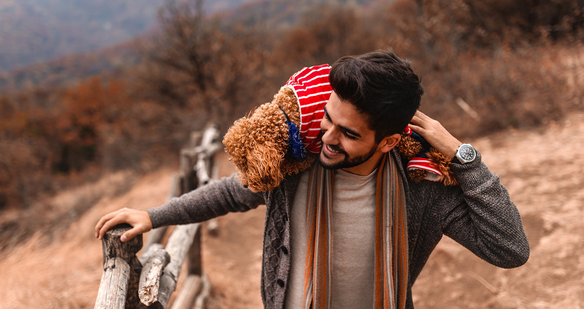 Building Trust With Your Dog – Clearly Loved Pets