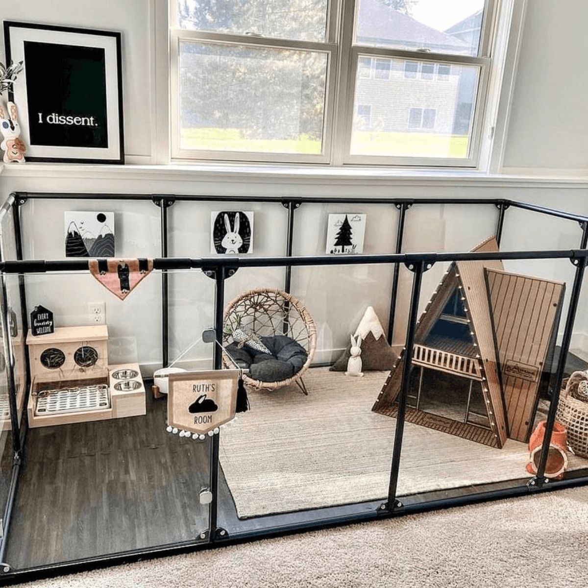 How Much Space Does Your Rabbit Really Need? – Clearly Loved Pets