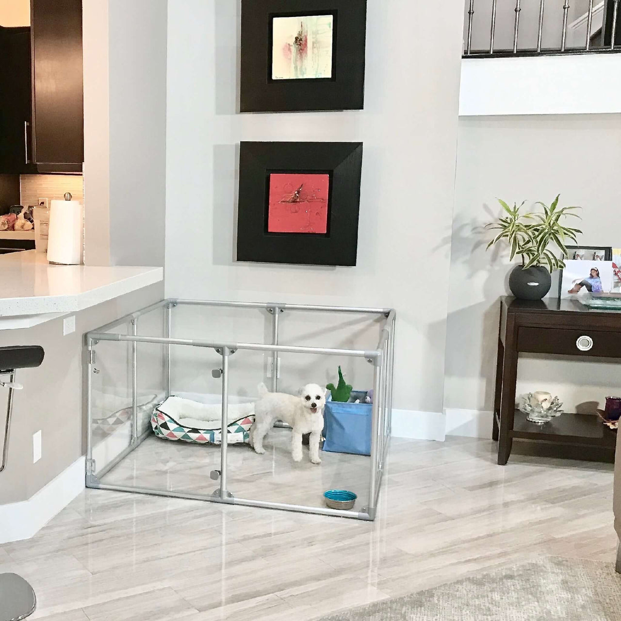 27" Medium Pet Pen, Clear-Wall Play Pen, Clearly Loved Pets