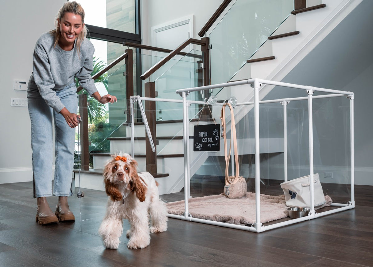 Universal Add-on Kit Help Page – Clearly Loved Pets